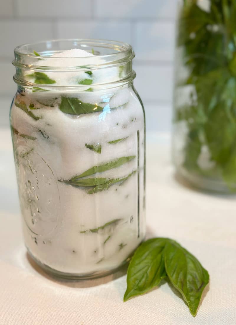 Preserving Basil for Winter: Two Quick Methods - Heritage revived