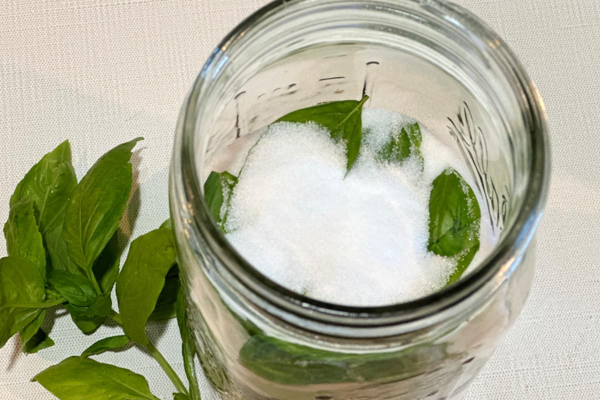 Preserving Basil for Winter: Two Quick Methods - Heritage revived