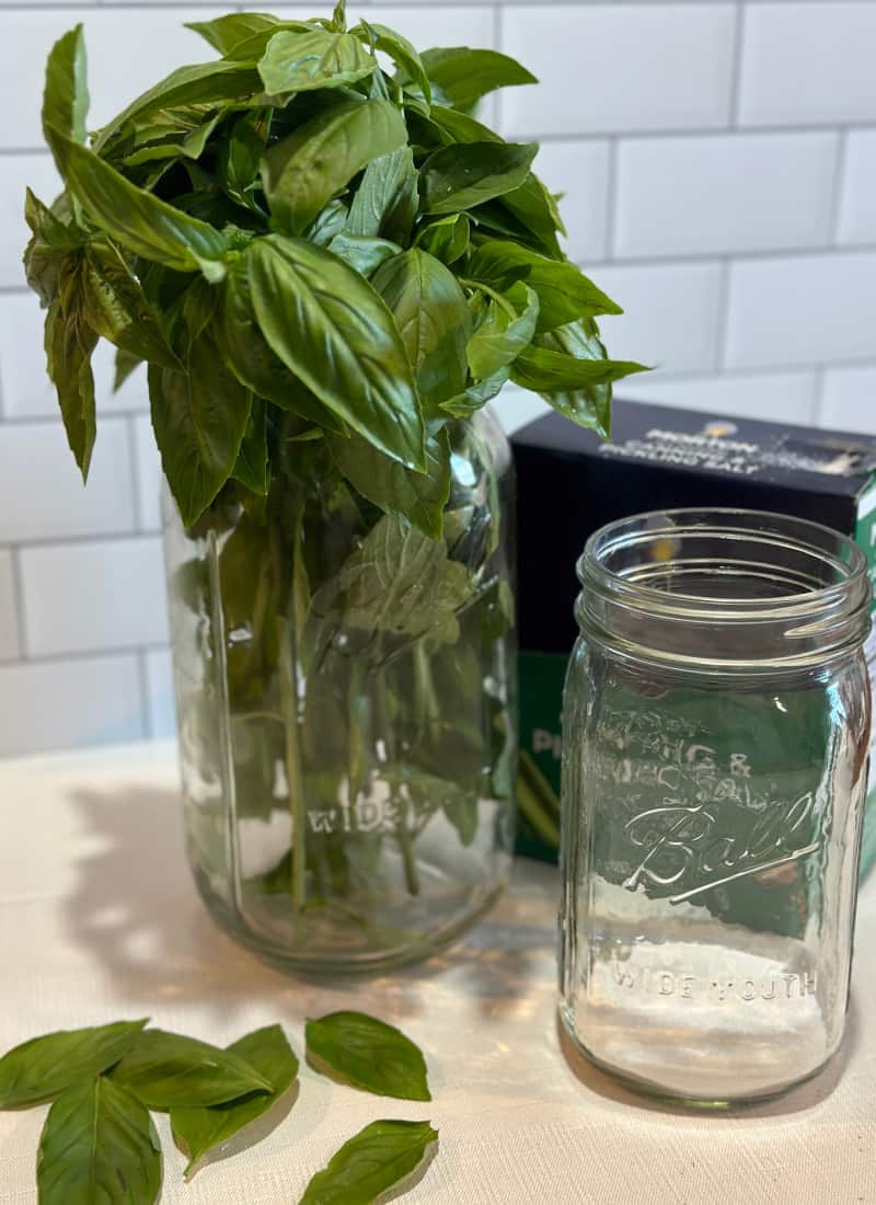 Preserving Basil for Winter: Two Quick Methods - Heritage revived