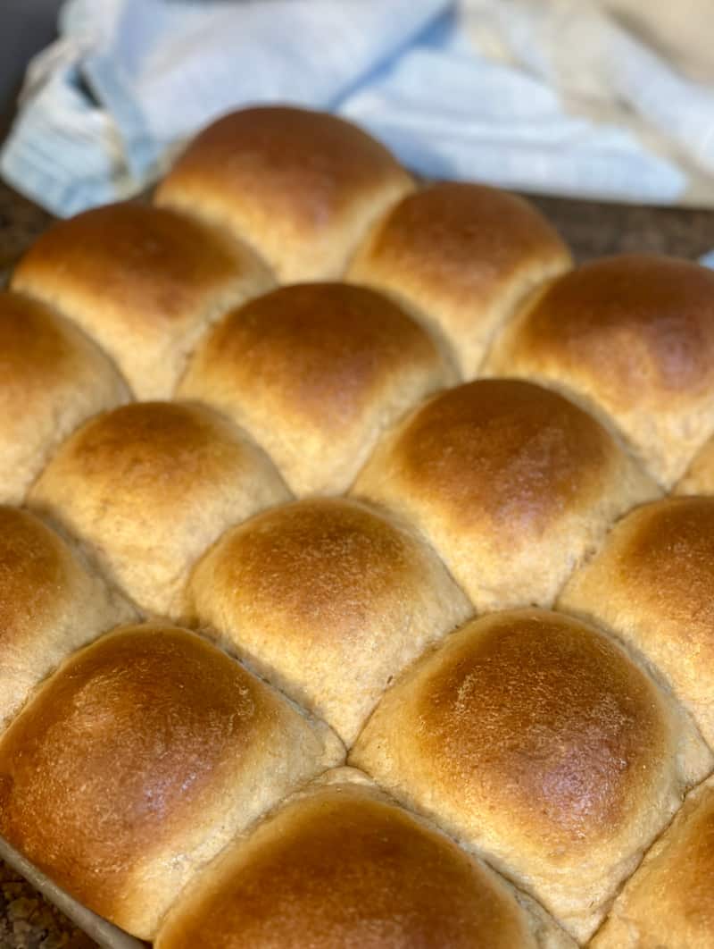 Best Whole Wheat Dinner Rolls Recipe (with Fresh Milled Flour) - Heritage revived