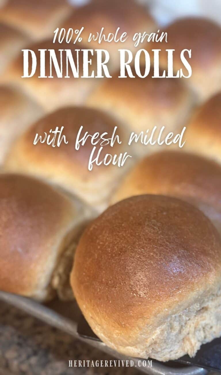 Best Whole Wheat Dinner Rolls Recipe (with Fresh Milled Flour ...