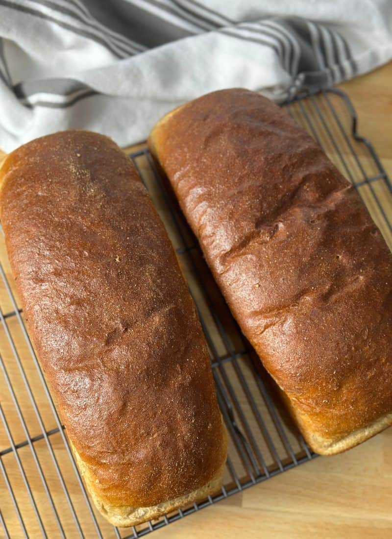 Fresh Milled Flour Bread Recipe (Perfect Sandwich Loaf!) - Heritage revived