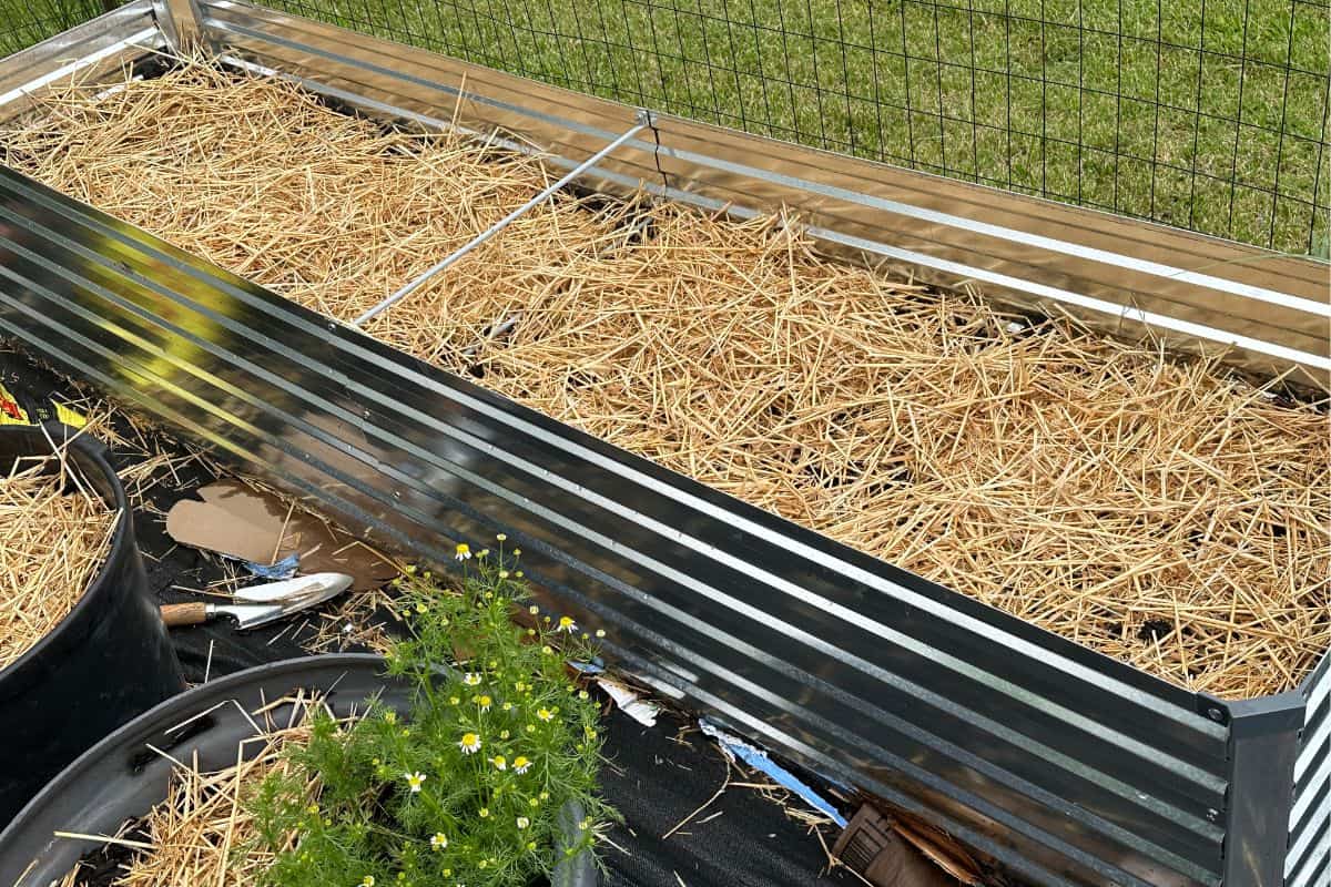 How To Fill Raised Garden Beds Cheaply - Heritage revived