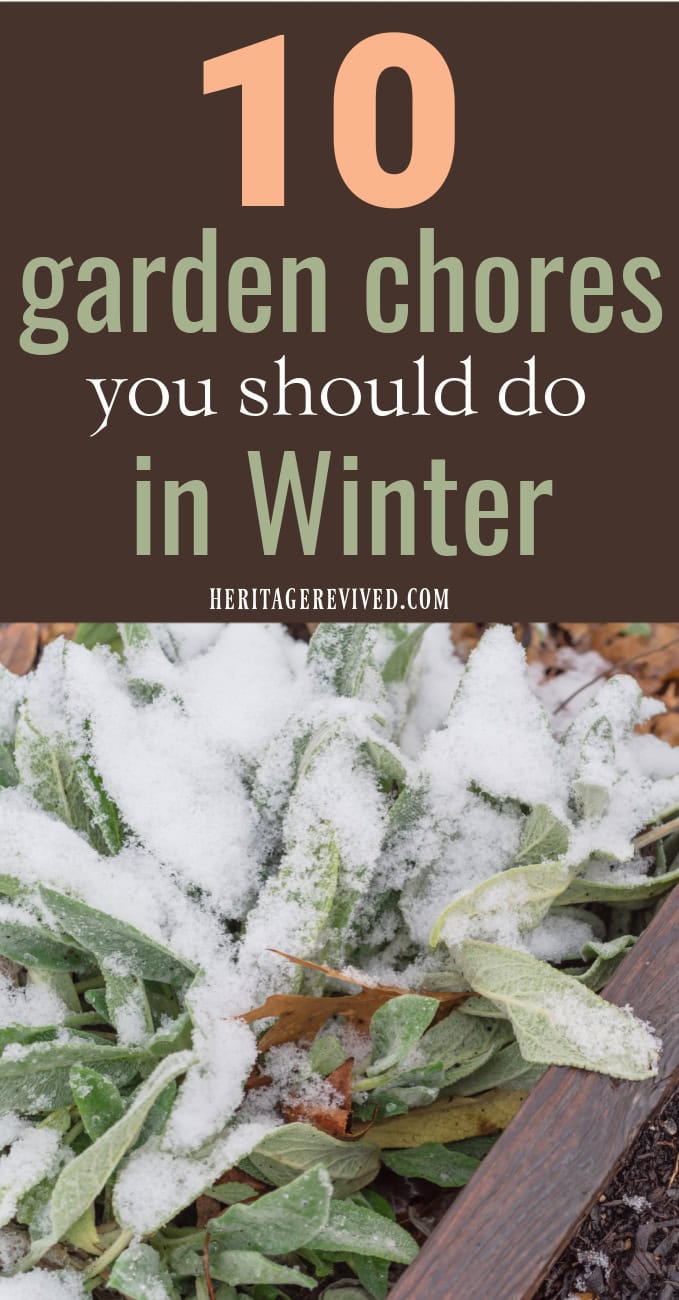 10 Winter Gardening Tasks To Get a Head Start on Gardening Season ...