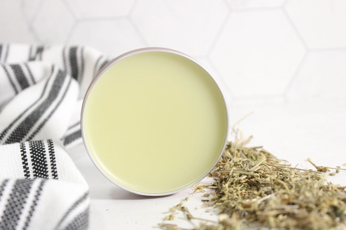 Herbal Bug Bite Salve Recipe - Heritage revived